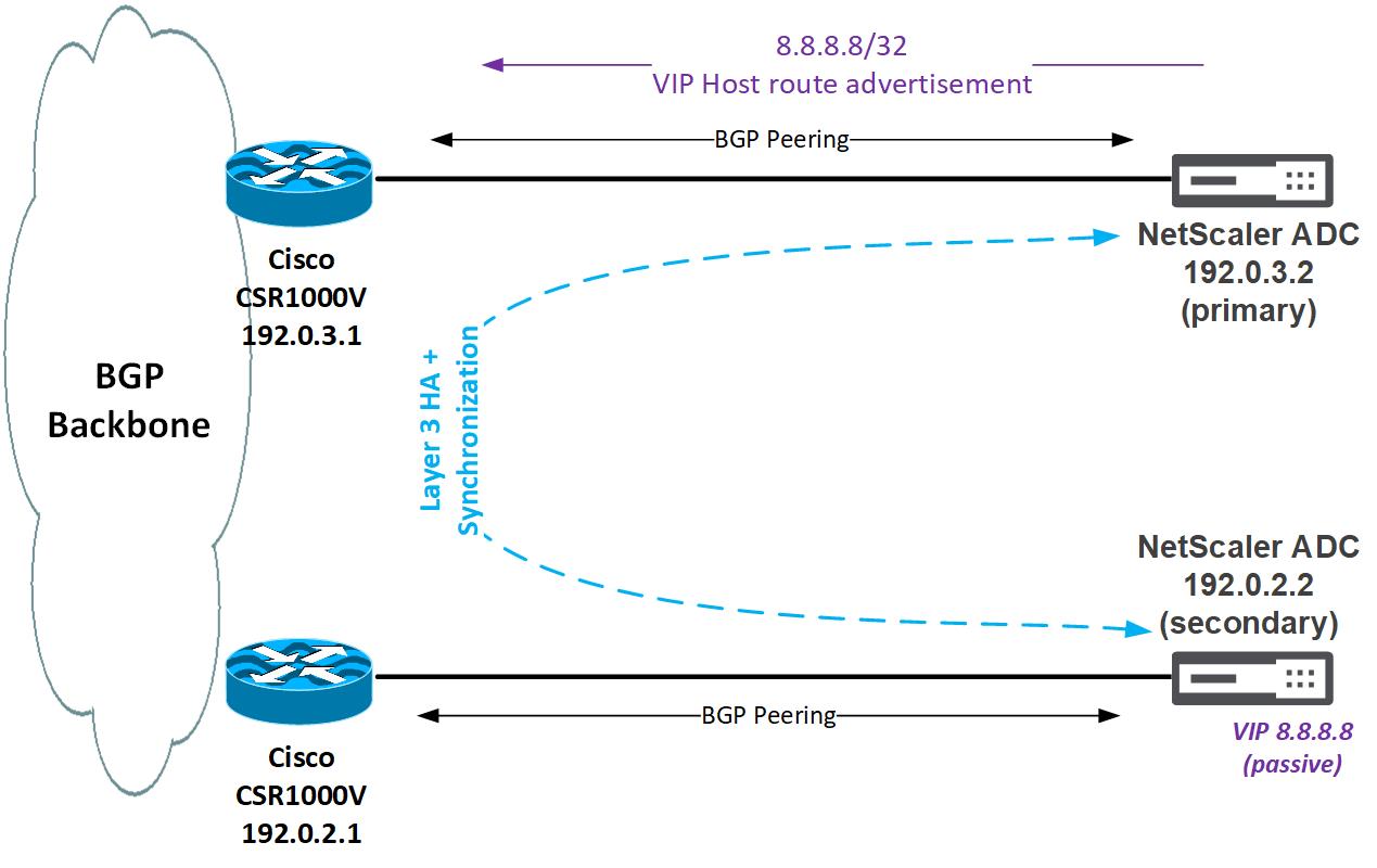 Citrix ADC dynamic routing and route health injection | Netscaler