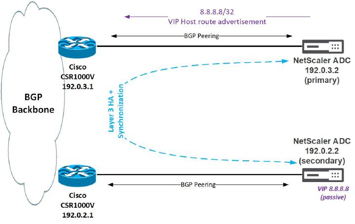 Citrix ADC dynamic routing and route health injection