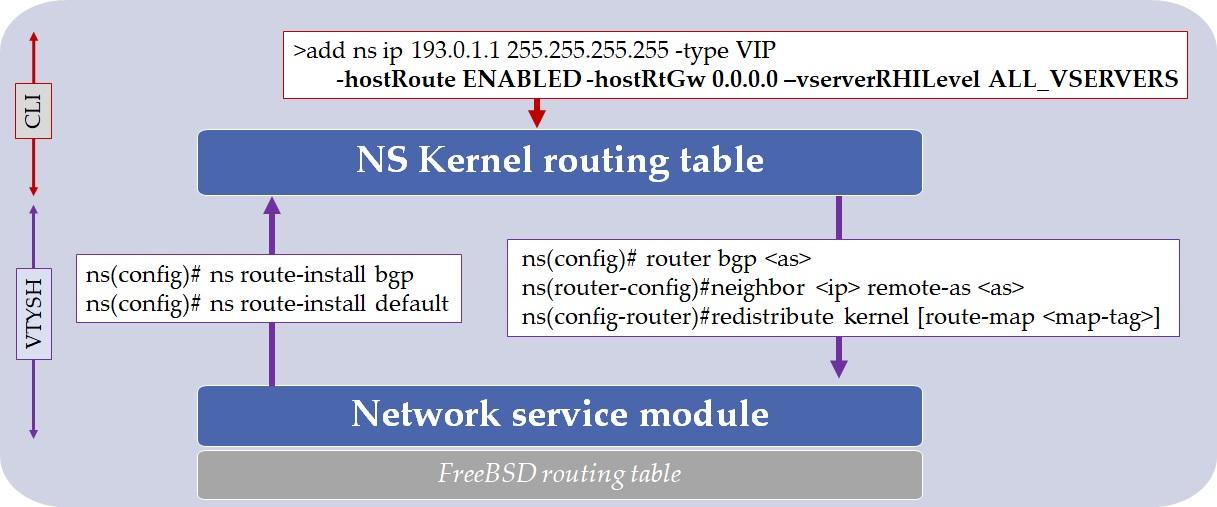 Citrix ADC dynamic routing and route health injection | Netscaler