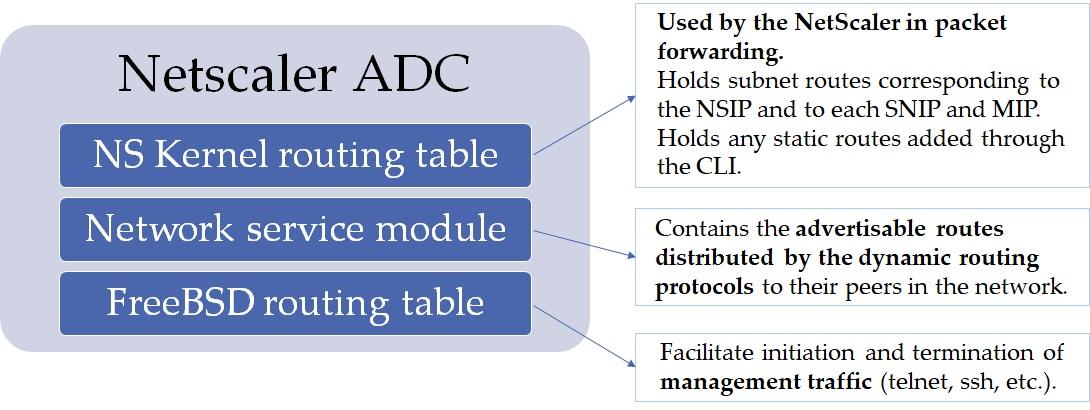 Citrix ADC dynamic routing and route health injection | Netscaler
